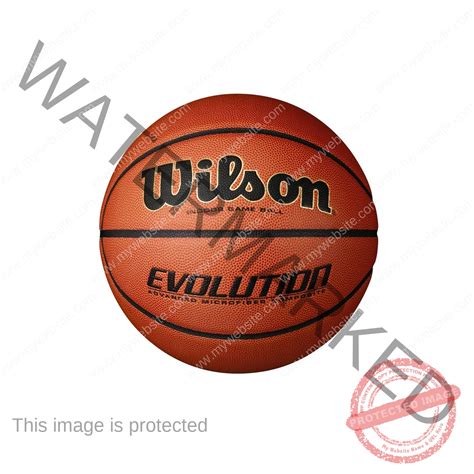 Wilson Evolution Official Game Basketball Osdom