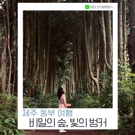 제주 동부 여행 제주 비밀의 숲 성산 빛의 벙커 세화 여름문구사 네이버 블로그