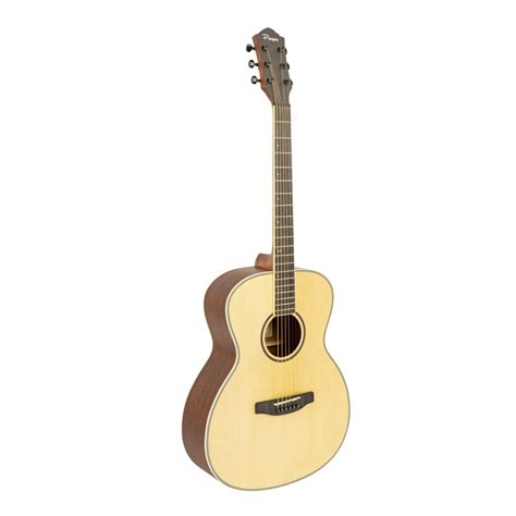 Tienda Music Shaker