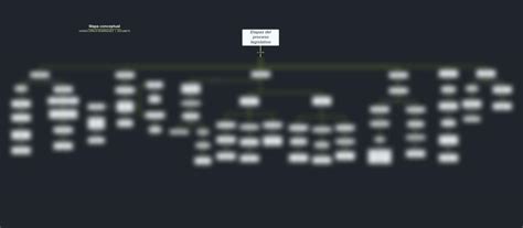 Solution Mapa Conceptual Mapa Conceptual Studypool