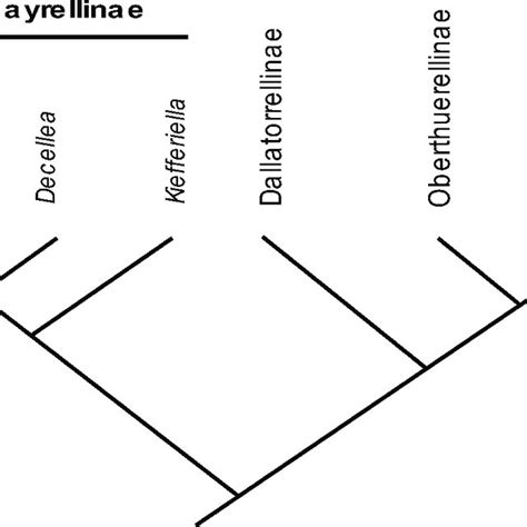Types And Frequency Of Islands Of Shortest Trees The Height Of A