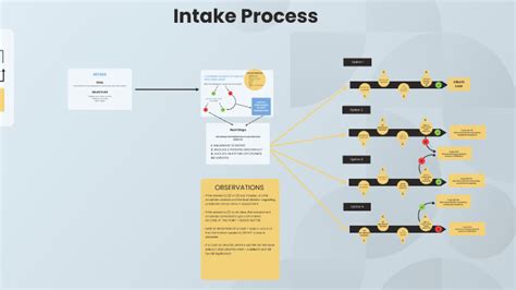 Intake Process By Micaela Fonte On Prezi