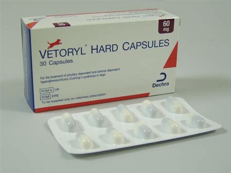 VETORYL CAPS 60MG - ONE TABLET