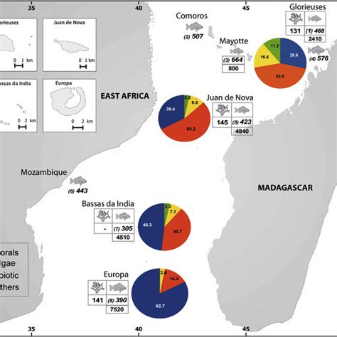 Comparison Of Benthic Cover Coral Algae Abiotic And Others And Download Scientific