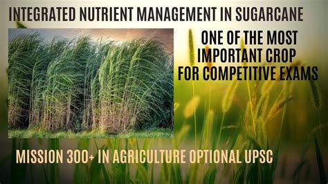 Integrated Nutrient Management In Sugarcane Upsc Agriculture Optional