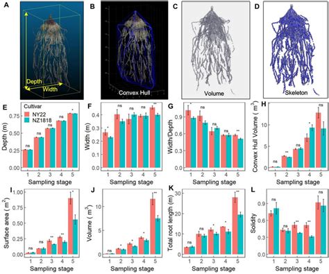 Quantification Of Global Root Traits Extraction Pipeline Of Global Download Scientific Diagram