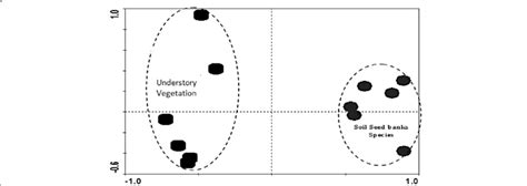 Ordination Diagram Of The Species Composition Of The Understory Download Scientific Diagram