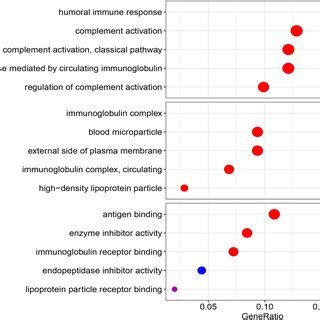 GO enrichment analysis for differentially expressed m⁷G related genes