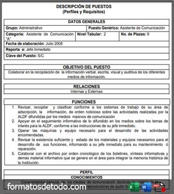 Formato Descripción de Puestos PDF Excel 2025