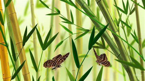 Green Bamboo Wallpapers Wallpaper Cave