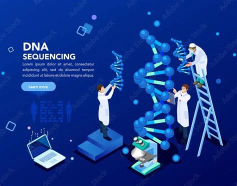 Sanger Sequencing Service At ₹ 2600sample In Surat Id 2854478419497
