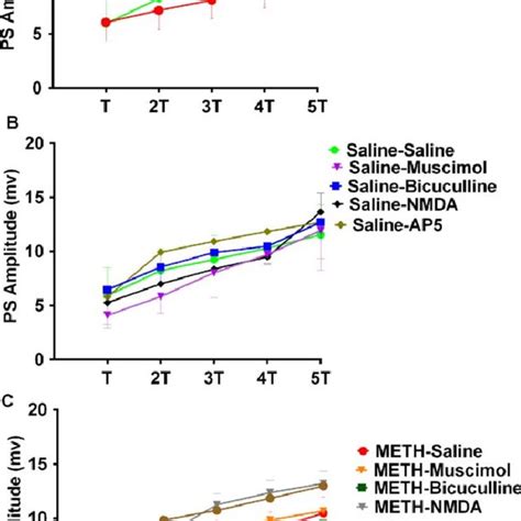 The Synaptic Inputoutput Io Relation Between Perforant Path And Dg