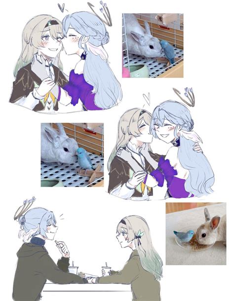 Robin And Firefly R Fireflymains