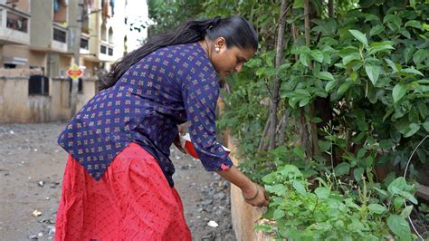 Searching For Soppu Foraging Wild Greens In Bengaluru