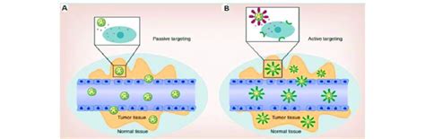 Illustration Of Passive And Active Targeting Of Nanoparticles Nps For Download Scientific