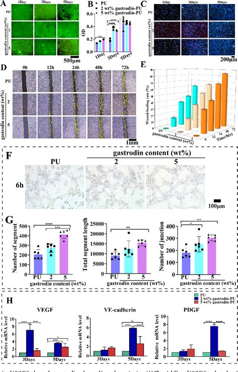 Figure 3 From A Biomimetic Tri Phasic Scaffold With Spatiotemporal