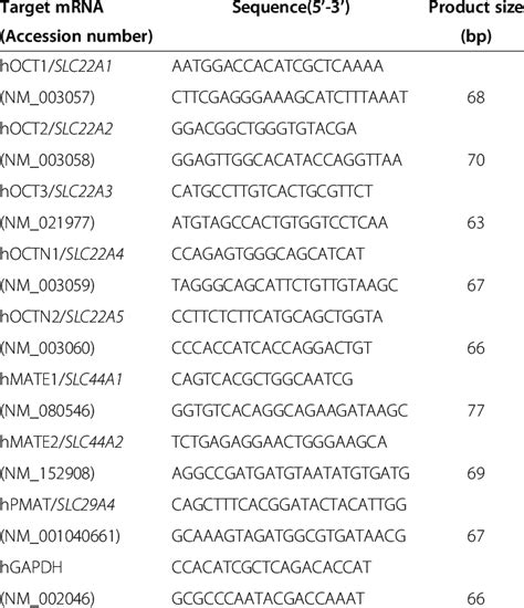 Sense And Antisense Primers For Quantitative Pcr Download Table