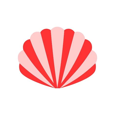 Premium Vector Shells Vector Design