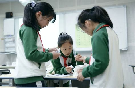 杭州淳安：项目赋能，让学习真正发生 ——淳安县实验小学教共体举行科学教研活动 小学科学教学网