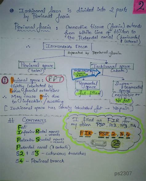 Ischiorectal Fossa