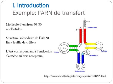 Ppt Structures Secondaires Darn Prédiction Et Recherche Powerpoint Presentation Id 3952762