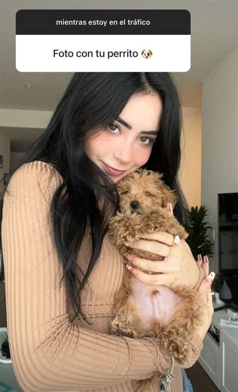 Pin By Isabel C 👑 On Amarantavp Quick