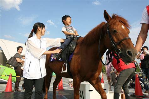 獣医師の仕事について知る！動物とふれあう！動物同伴okイベント 「2019動物感謝デー In Japan “world Veterinary