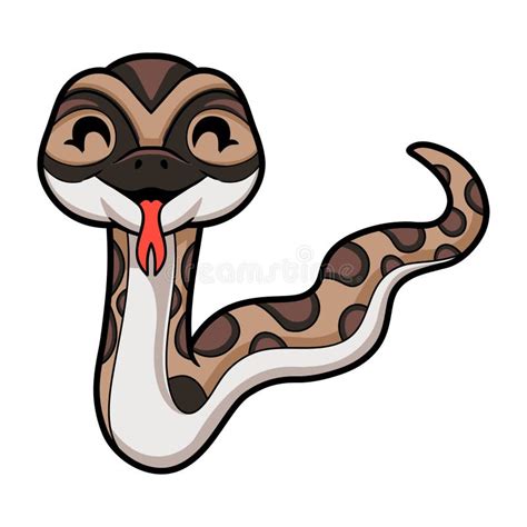 Molurus Stock Illustrations 43 Molurus Stock Illustrations Vectors And Clipart Dreamstime