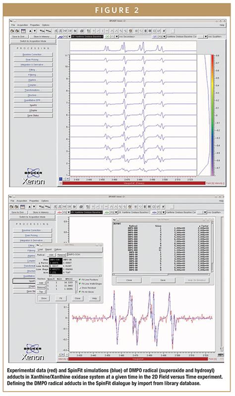 Epr Spectroscopy Bringing Epr To A Wider World Biological Ros Rns Detection