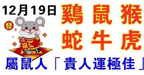 12月19日生肖運勢雞、鼠、猴大吉 Peekme
