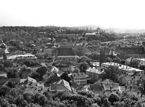 Кафедральный собор Успения Пресвятой Богородицы Вильнюс Вильнюсский уезд фотография