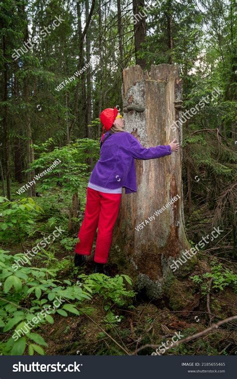 236 935 Arbol Roto Images Stock Photos Vectors Shutterstock
