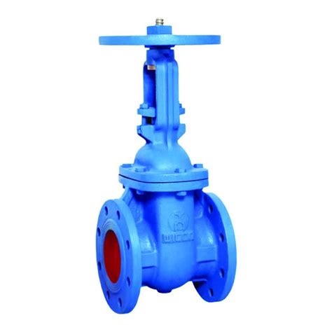 PN Cast Iron Gate Valve Rising Stem WICON