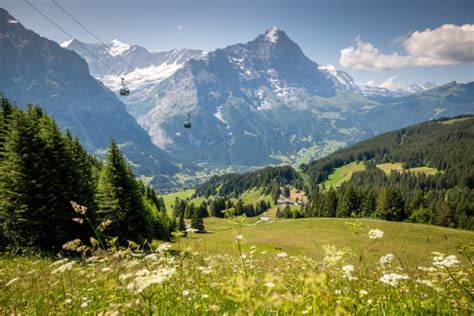 Grindelwald First Firstbahn Mit Eiger Oberhalb Bort