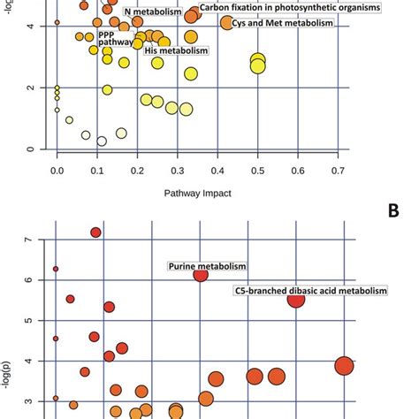 Metabolomic Pathway Analysis Metpa As Generated By Metaboanalyst