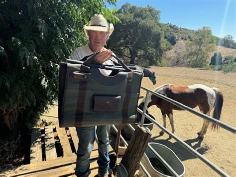 Tassc Logo Breastplate Medallion — Australian Stock Saddle Company By