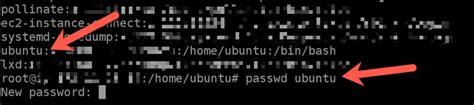 Linux에서 비밀번호를 변경하는 방법