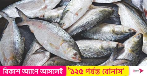 2 Month Ban On Hilsa Fishing To End Sunday Midnight The Daily Star