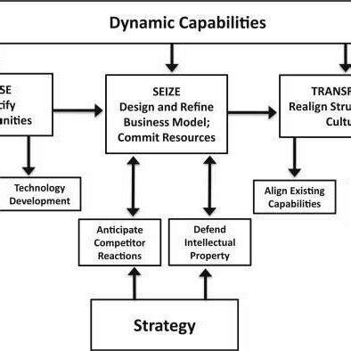 Fig Illustration Of Dynamic Capabilities Source Download Scientific Diagram