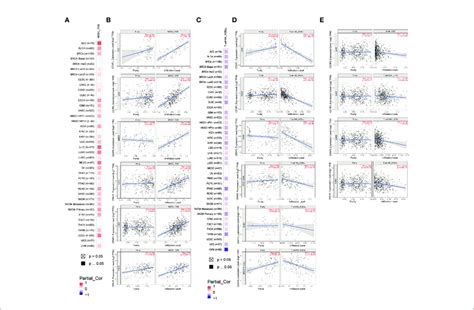 The Association Between Cenpl Expression And Immune Cell