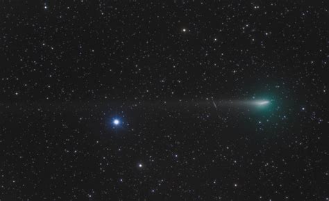 Pretty Robin Snacking In A Winter Wonderland Couldnt Believe I