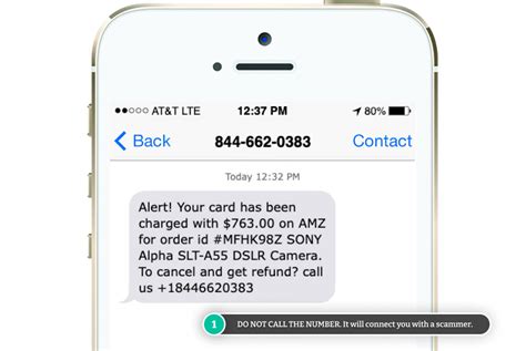 Unauthorized Purchase