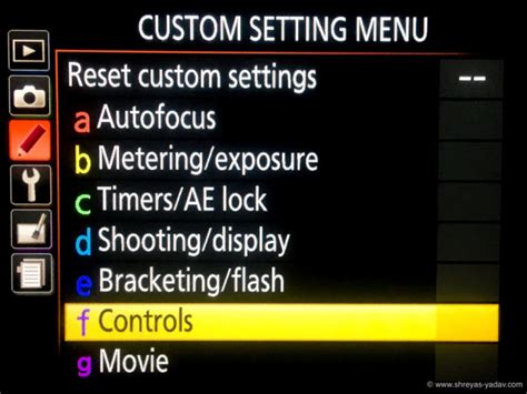 A Guide To Back Button Autofocus For Wildlife Photographers