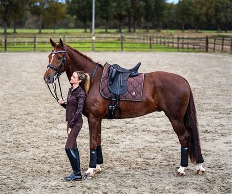 Sofie Van Rooij Hartog