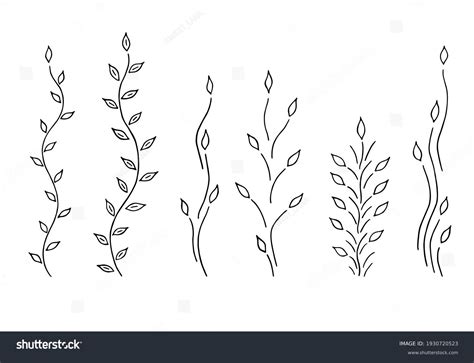 Flower Vine Outline Designs