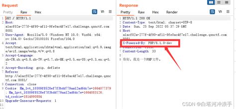 Php810 Dev 后门命令执行漏洞复现php 80 核弹漏洞 Csdn博客