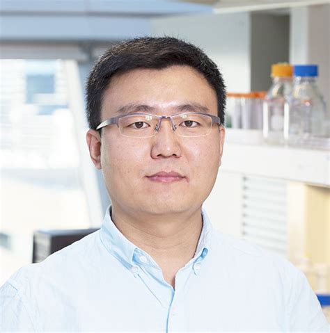 Research Hongbo Liu