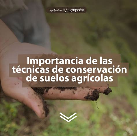 Conoce Las Técnicas De Conservación De Suelos Y Ejemplos