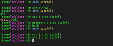 Shell Script 5 Local ve Environment Variables Ali Sezişli Kernel
