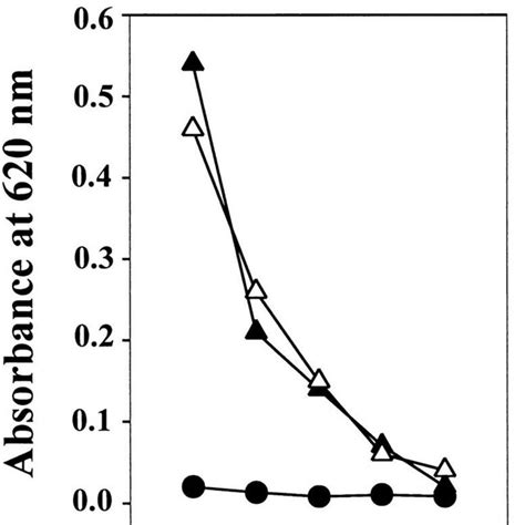 Determination Of β Gal Expression In Rgal And Rsgal Transfectants